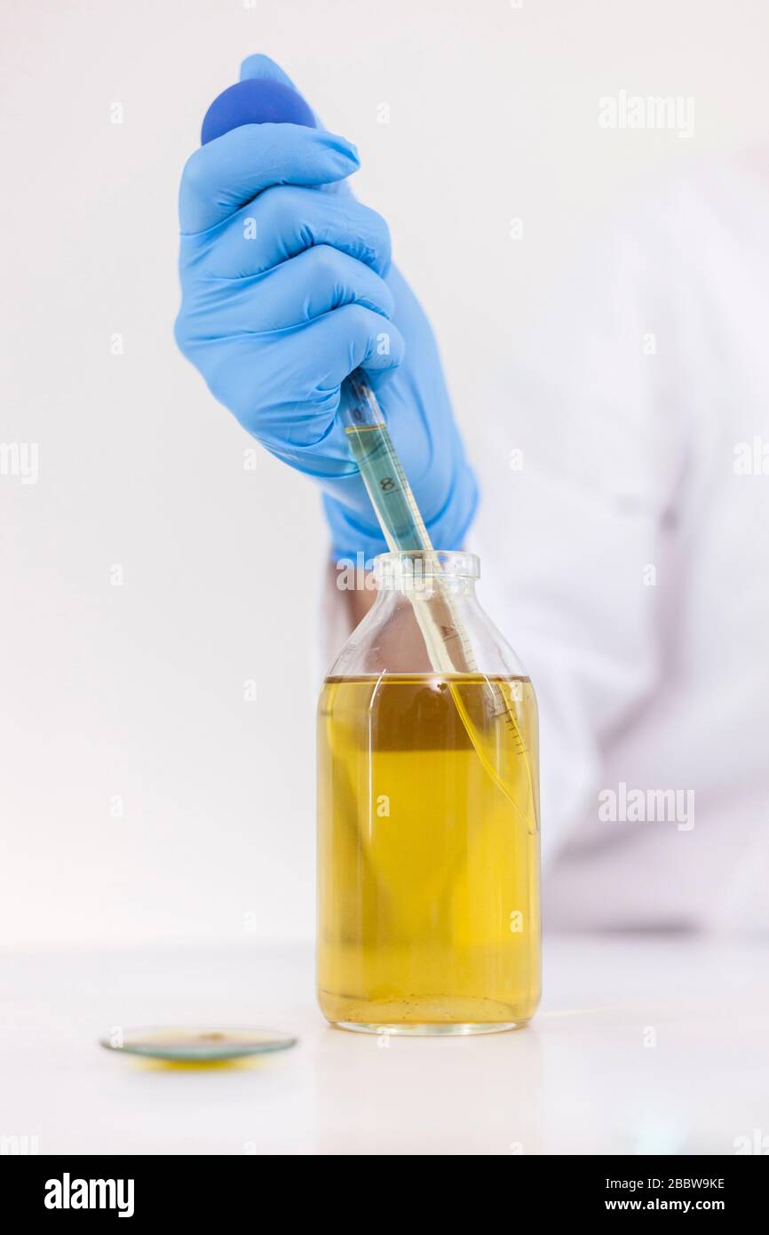 Closeup of a female scientist in a laboratory working with cbd oil ...
