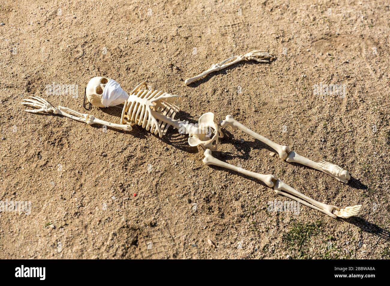 Broken child skeleton wearing a mask lying on the ground in a park ...