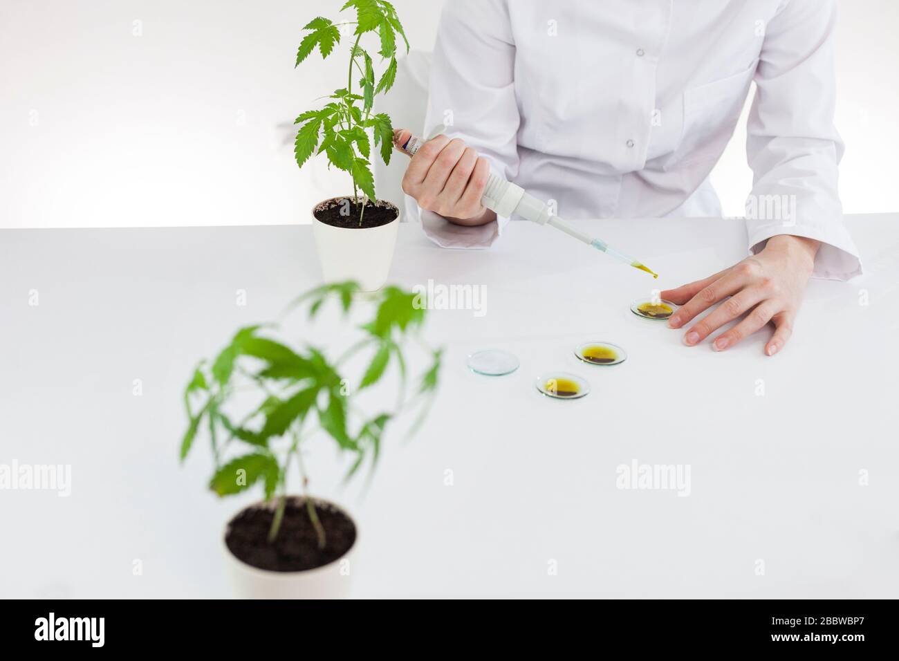 Female scientist glasses testing cbd hi-res stock photography and ...