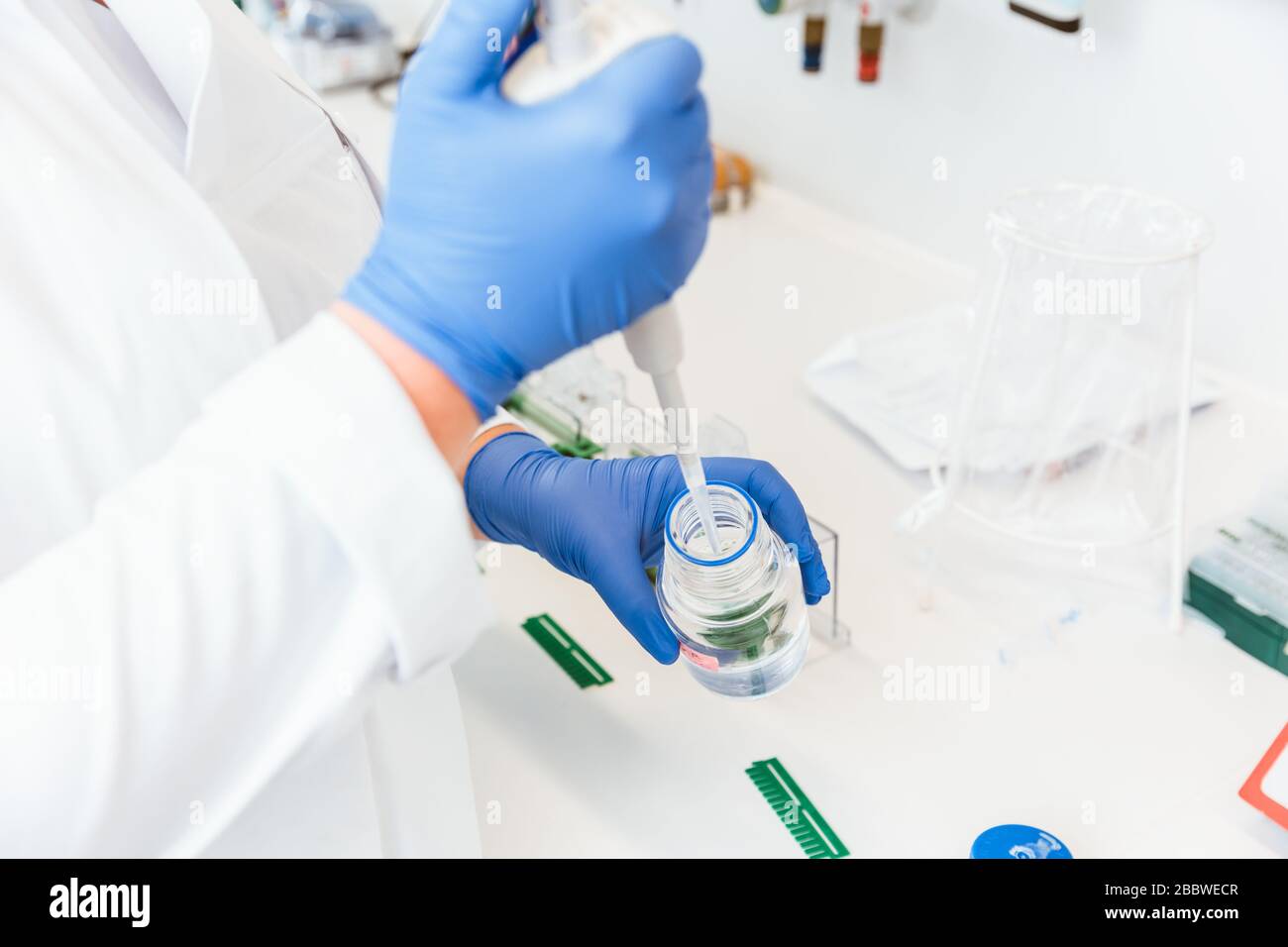 Doctor removing liquid for experiment Stock Photo - Alamy