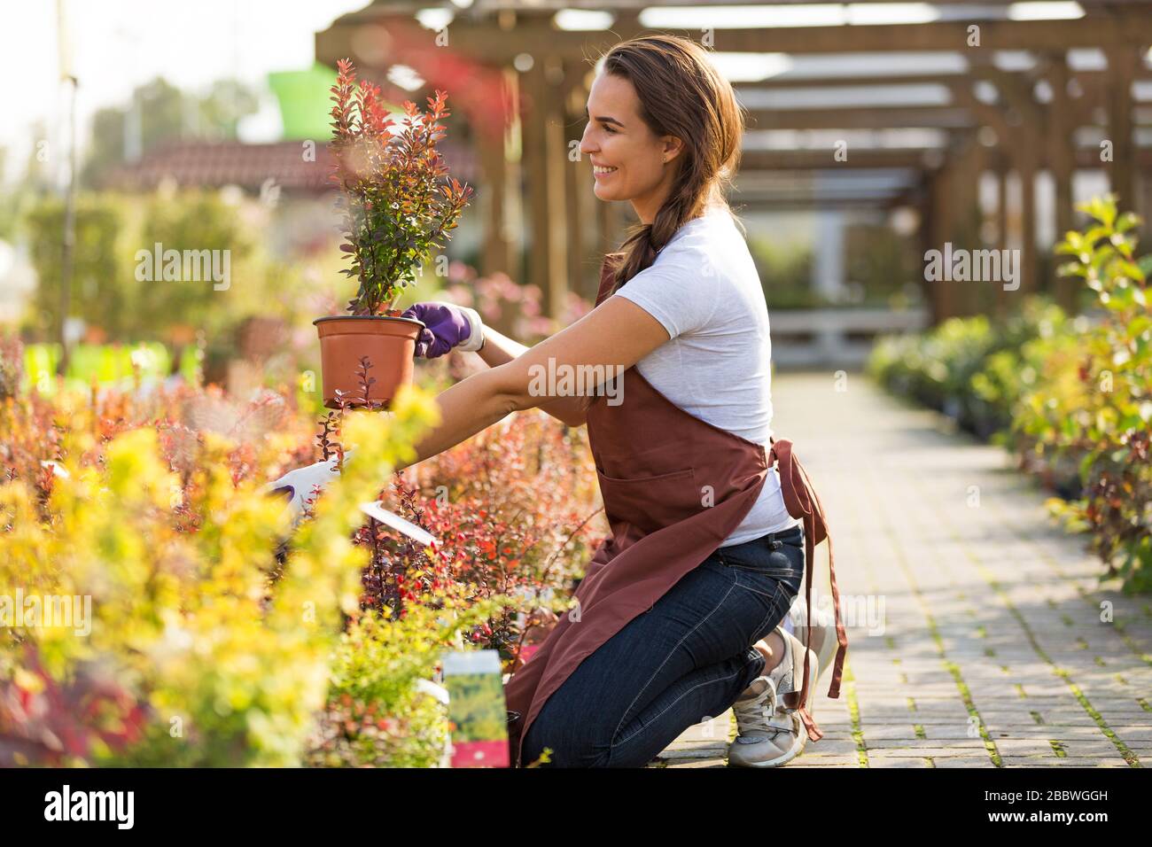 Business of landscaping hi-res stock photography and images - Alamy