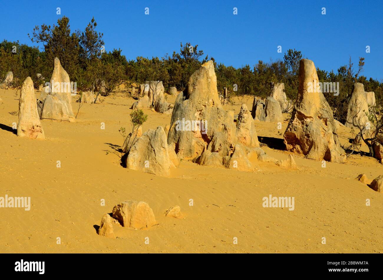 Pinnacles desert within Nambung National Park Stock Photo - Alamy