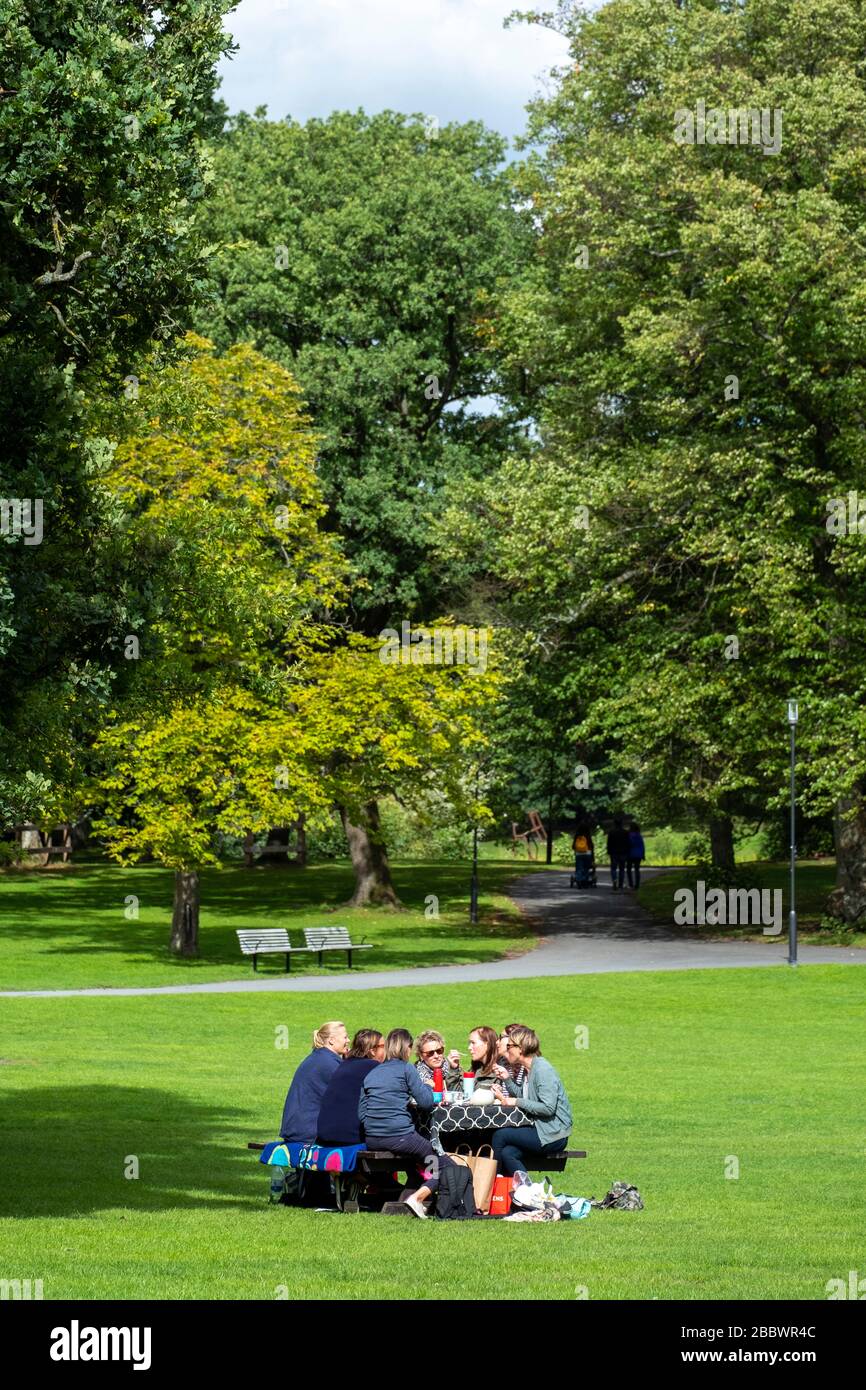 Picnic table park hi-res stock photography and images - Alamy