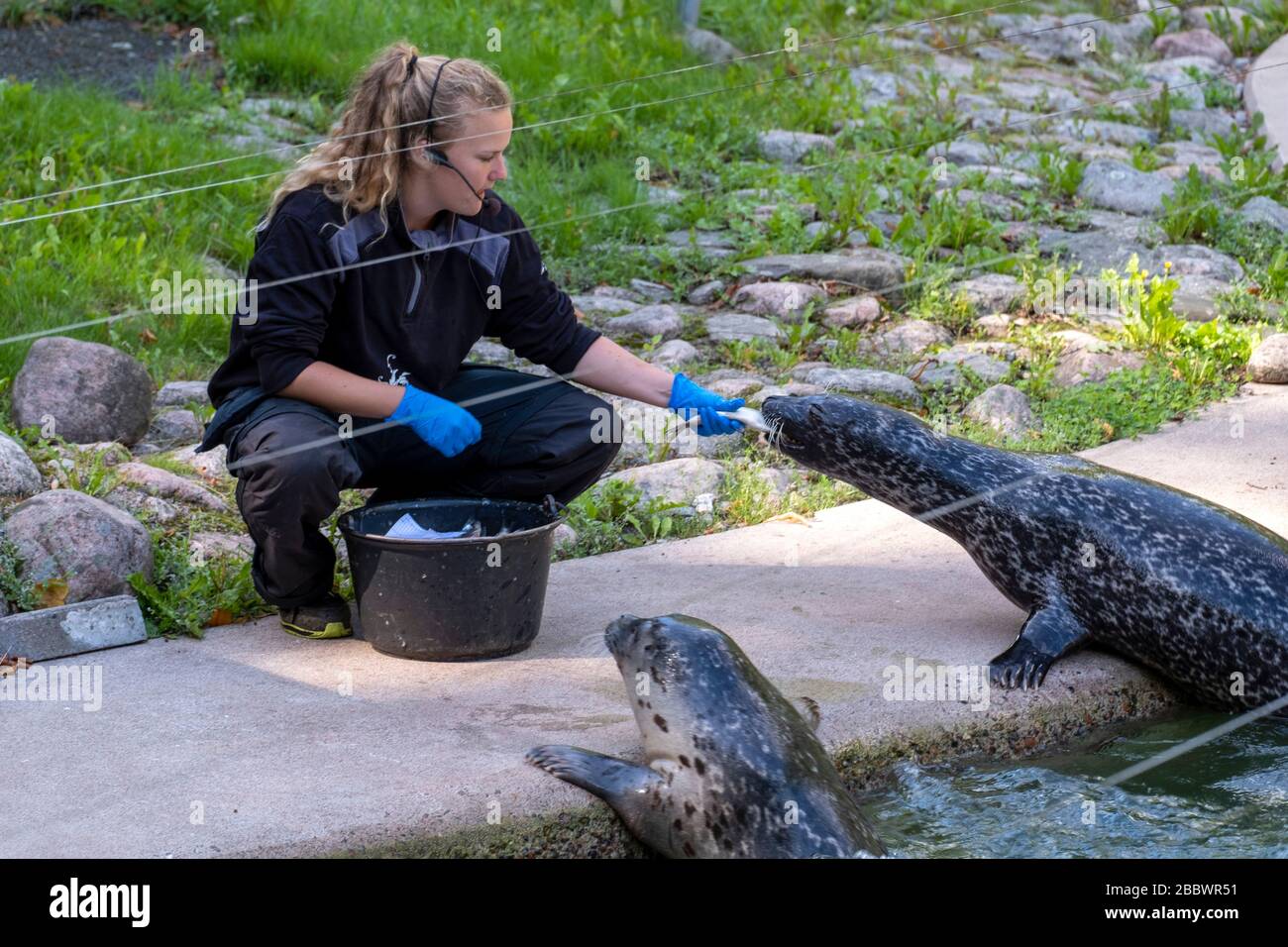 Zookeeper hi-res stock photography and images - Alamy