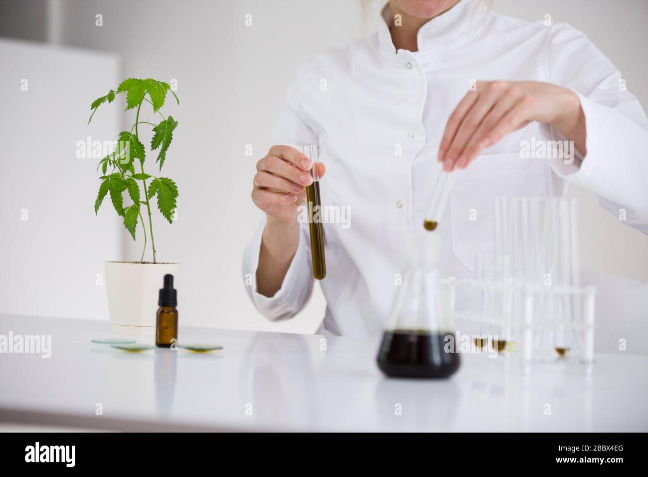 Heal plant scientist hi-res stock photography and images - Alamy