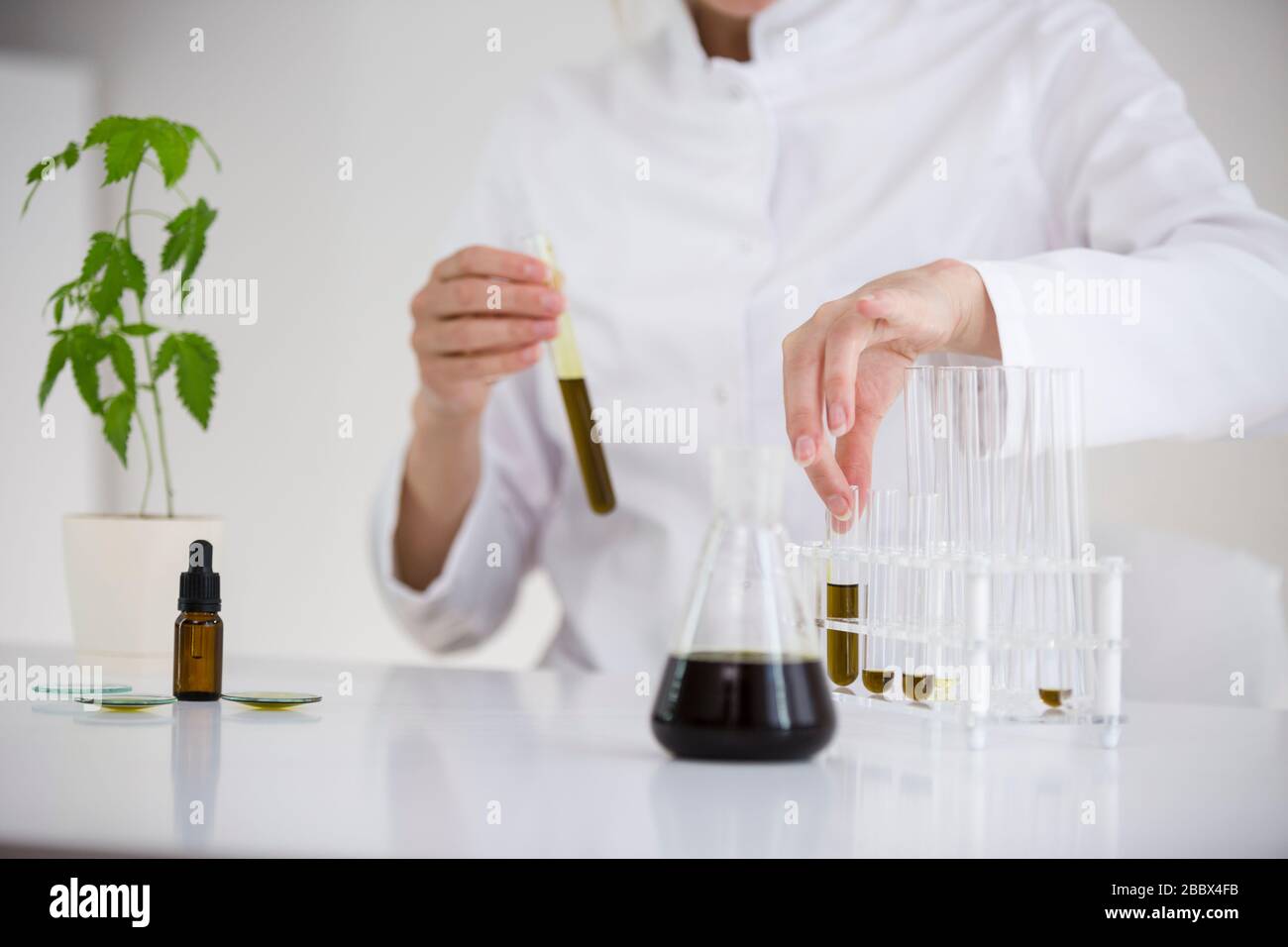 Heal plant scientist hi-res stock photography and images - Alamy