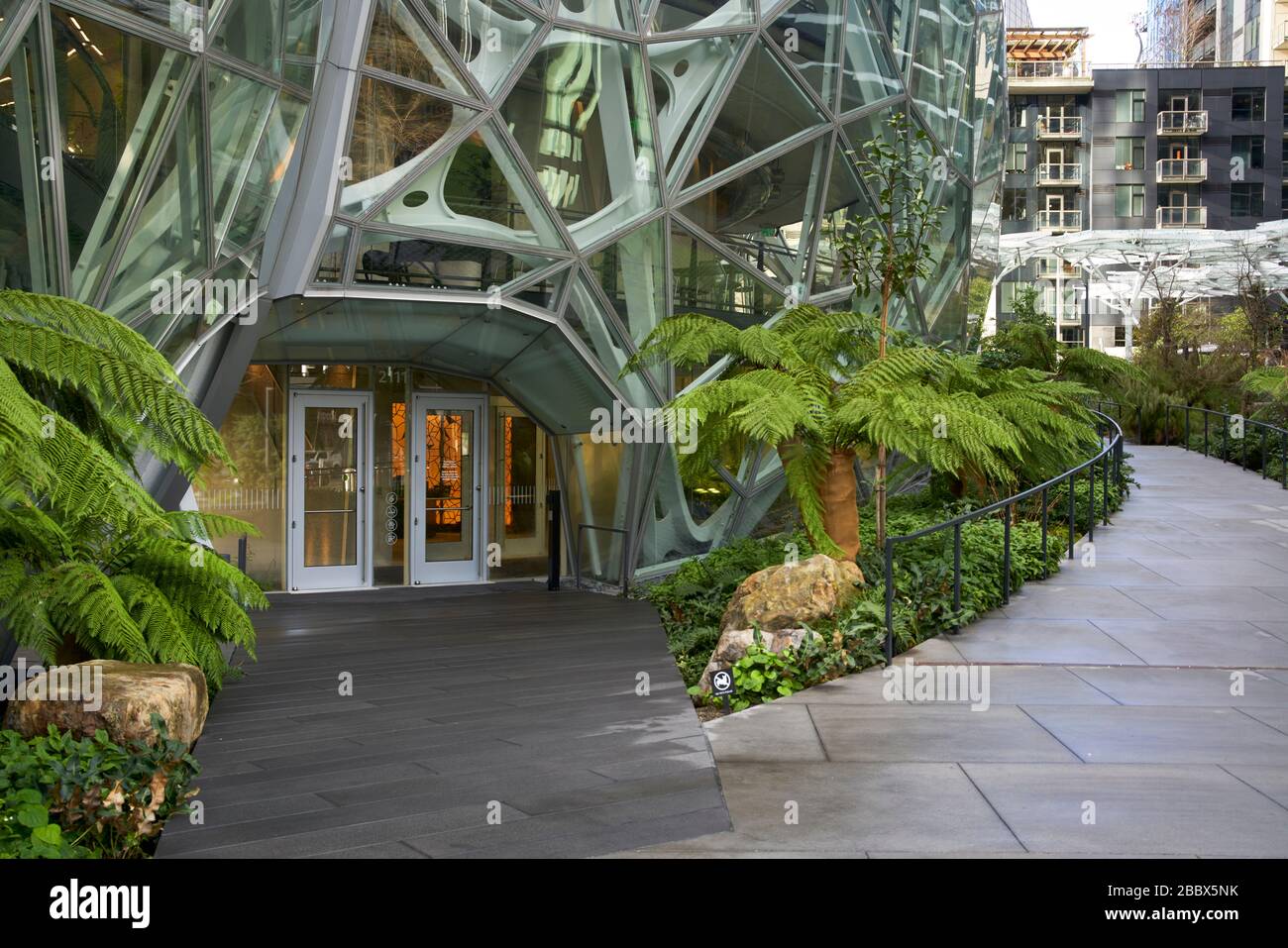 Amazon spheres tree hi-res stock photography and images - Alamy