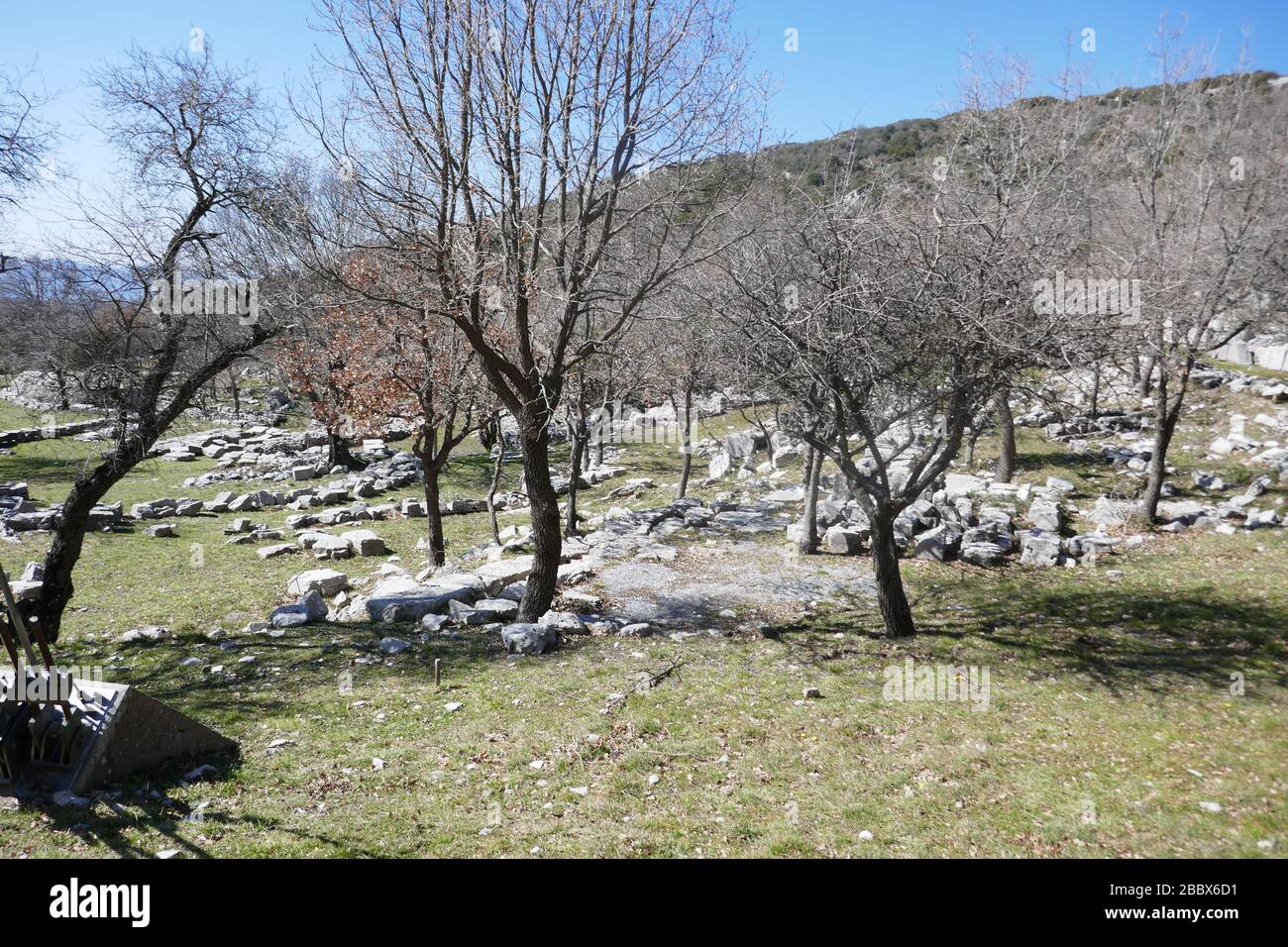 Bassae Archaeological Site Stock Photo - Alamy