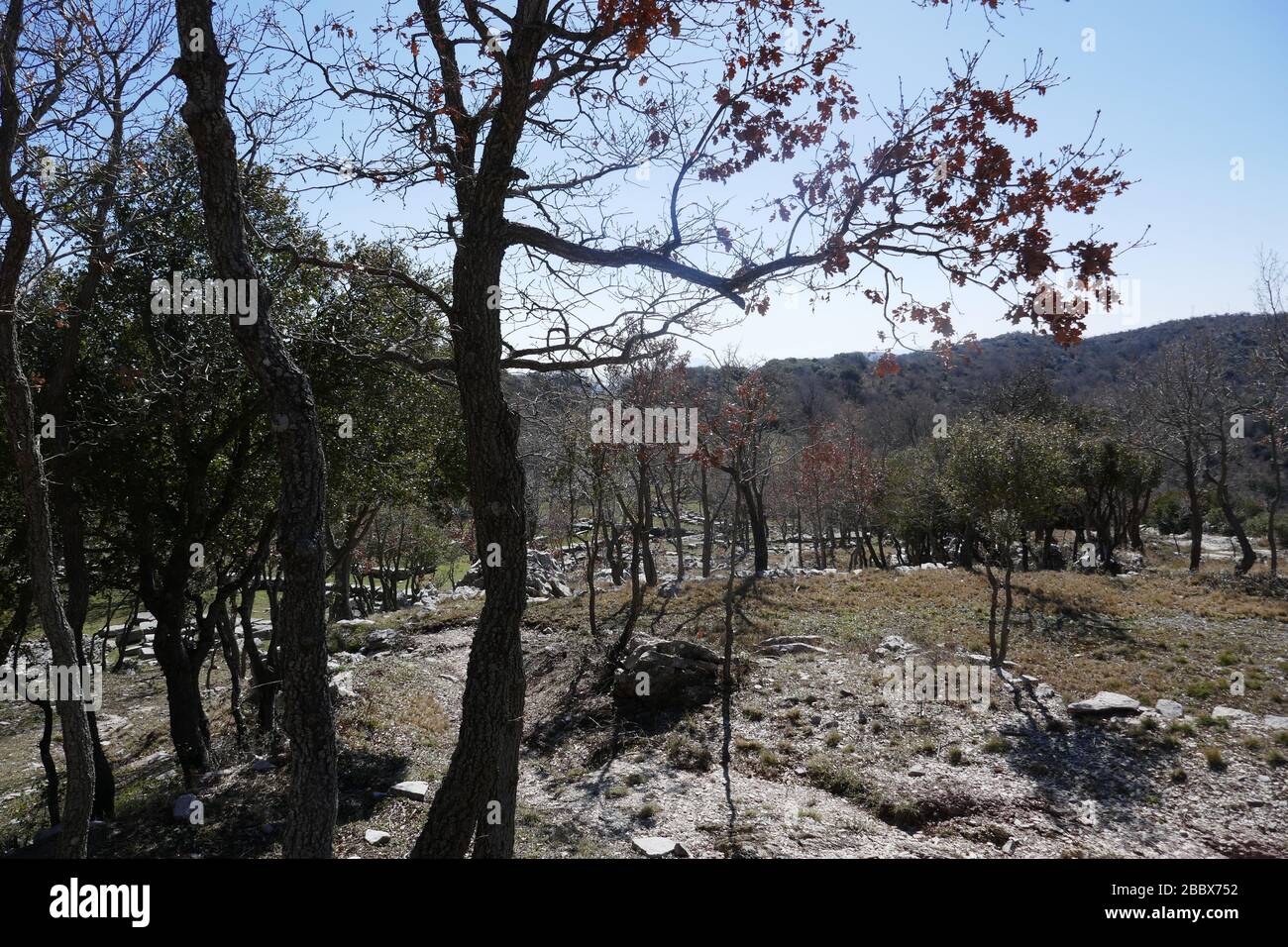Bassae Archaeological Site Stock Photo - Alamy