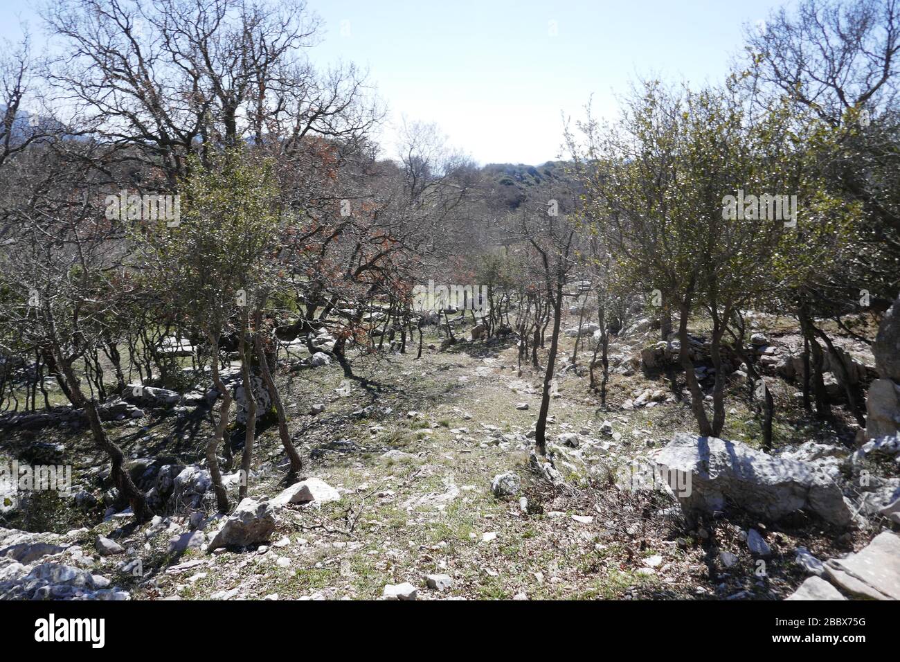 Bassae Archaeological Site Stock Photo - Alamy