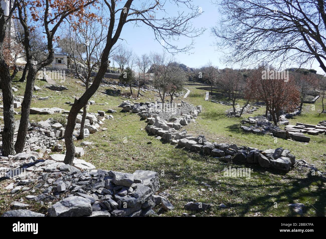 Apollo epicurius bassae hi-res stock photography and images - Alamy