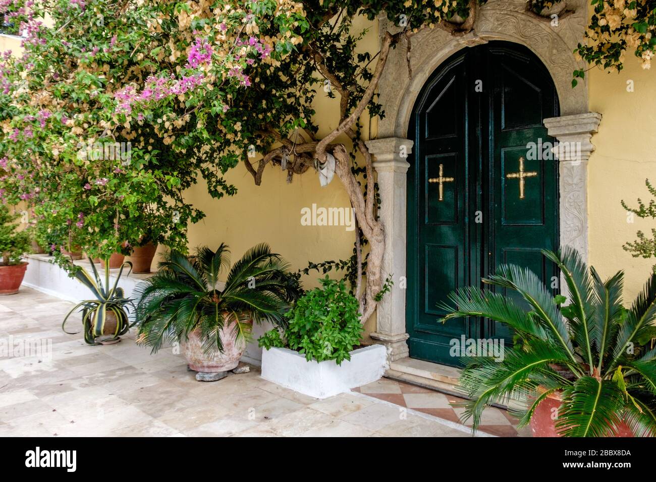 Pot plant courtyard hi-res stock photography and images - Alamy