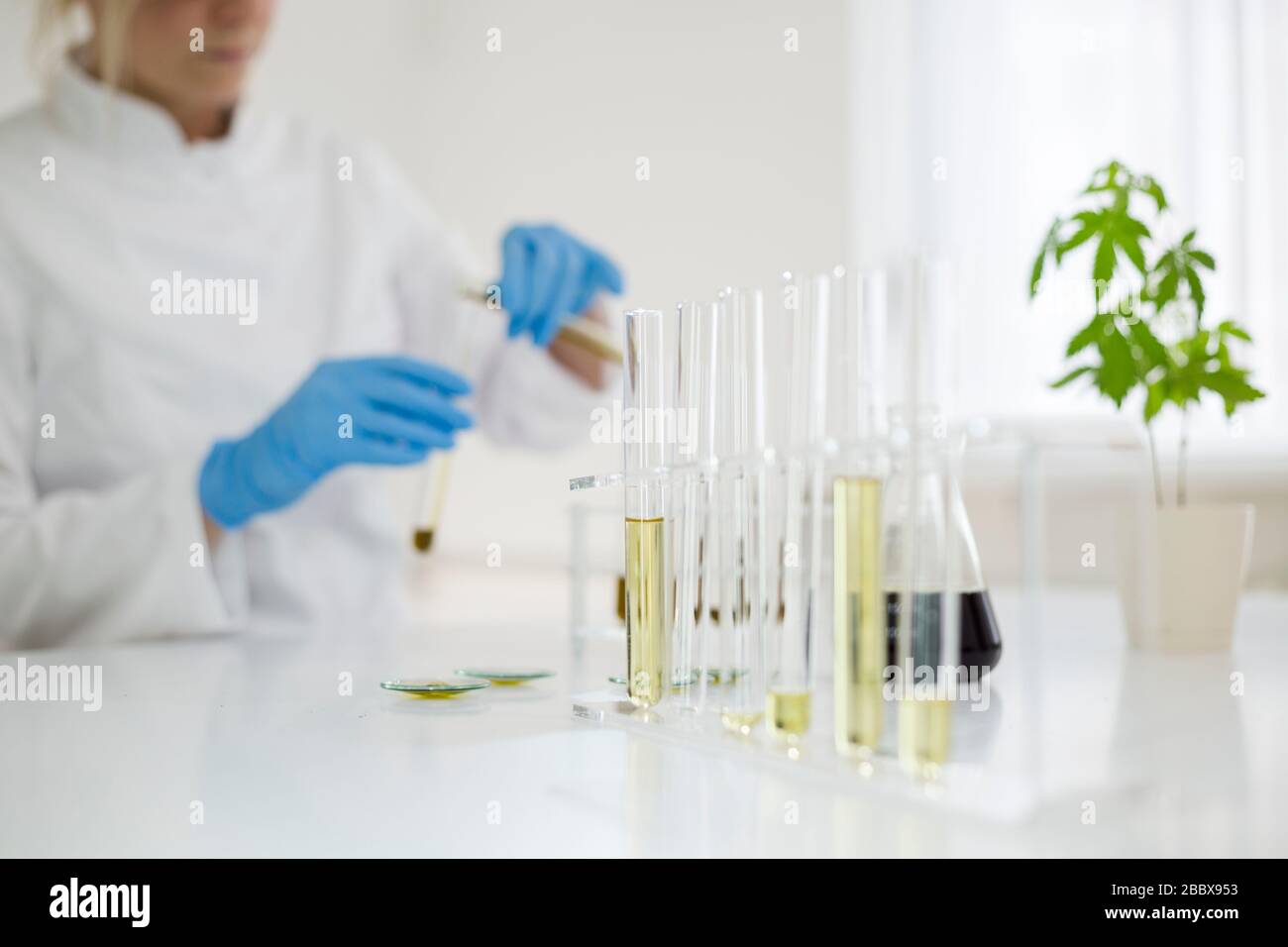 Heal plant scientist hi-res stock photography and images - Alamy