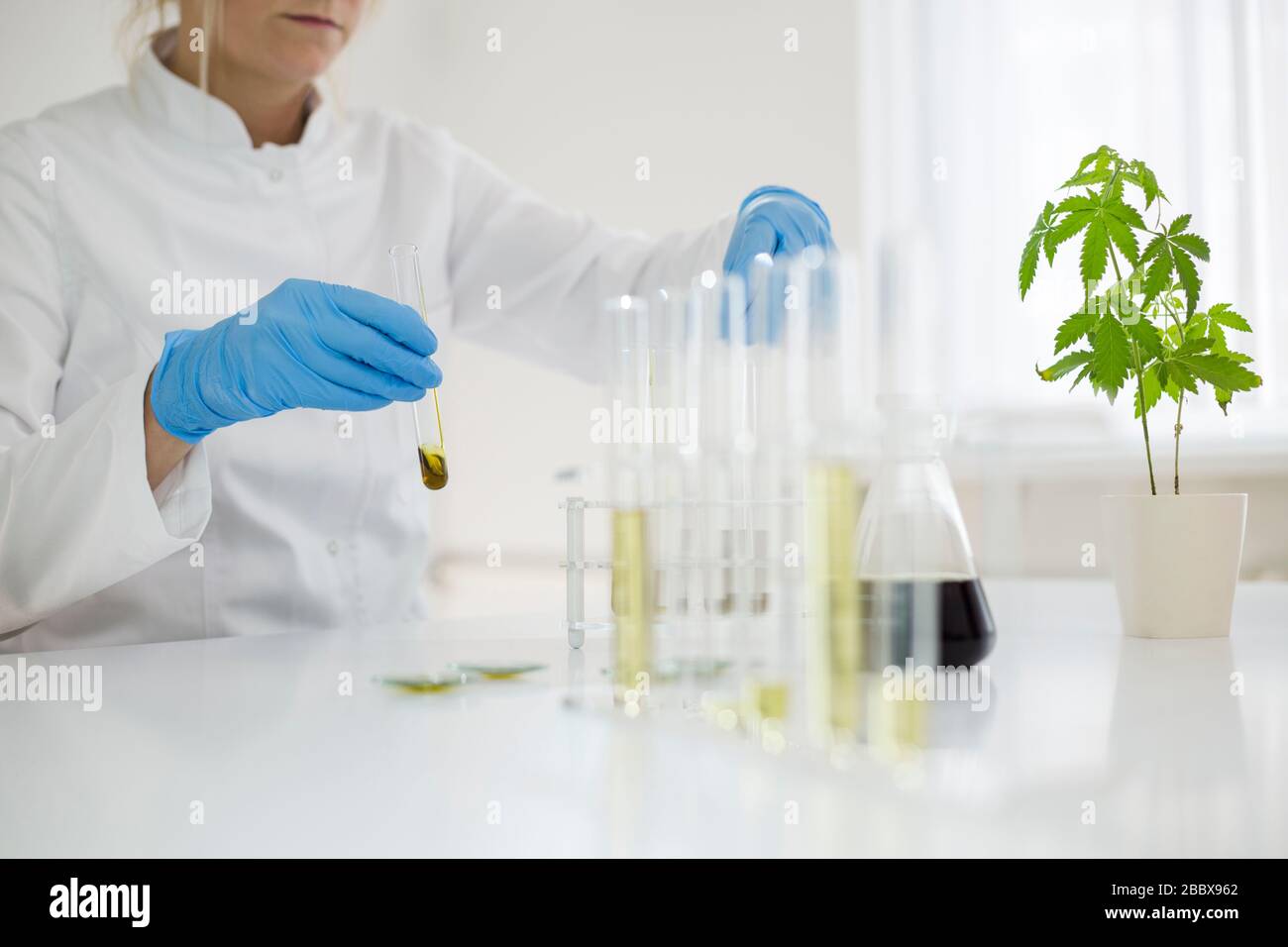 Heal plant scientist hi-res stock photography and images - Alamy