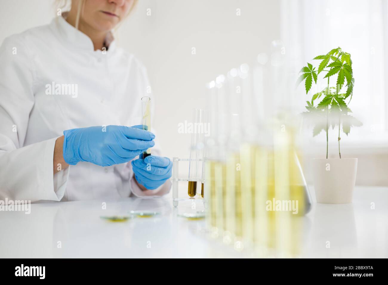 Heal plant scientist hi-res stock photography and images - Alamy