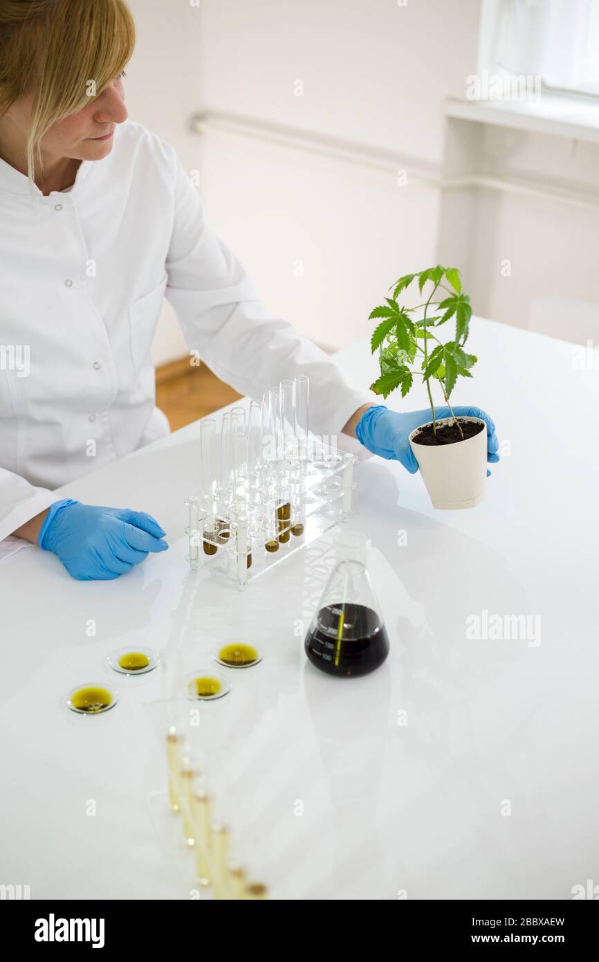 Cannabinoids pharma hi-res stock photography and images - Alamy