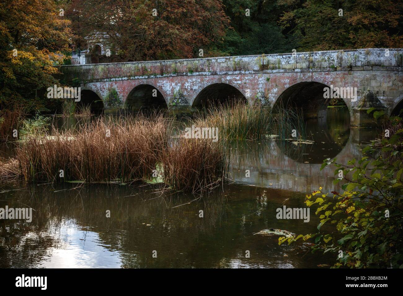 River stour dorset bridge hi-res stock photography and images - Alamy