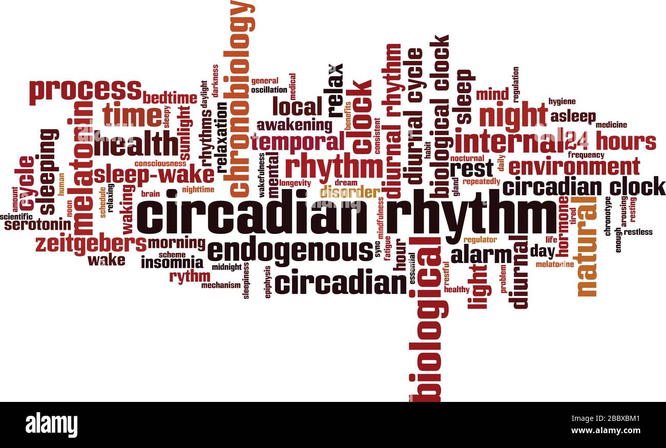 Circadian rhythm word cloud concept. Collage made of words about ...