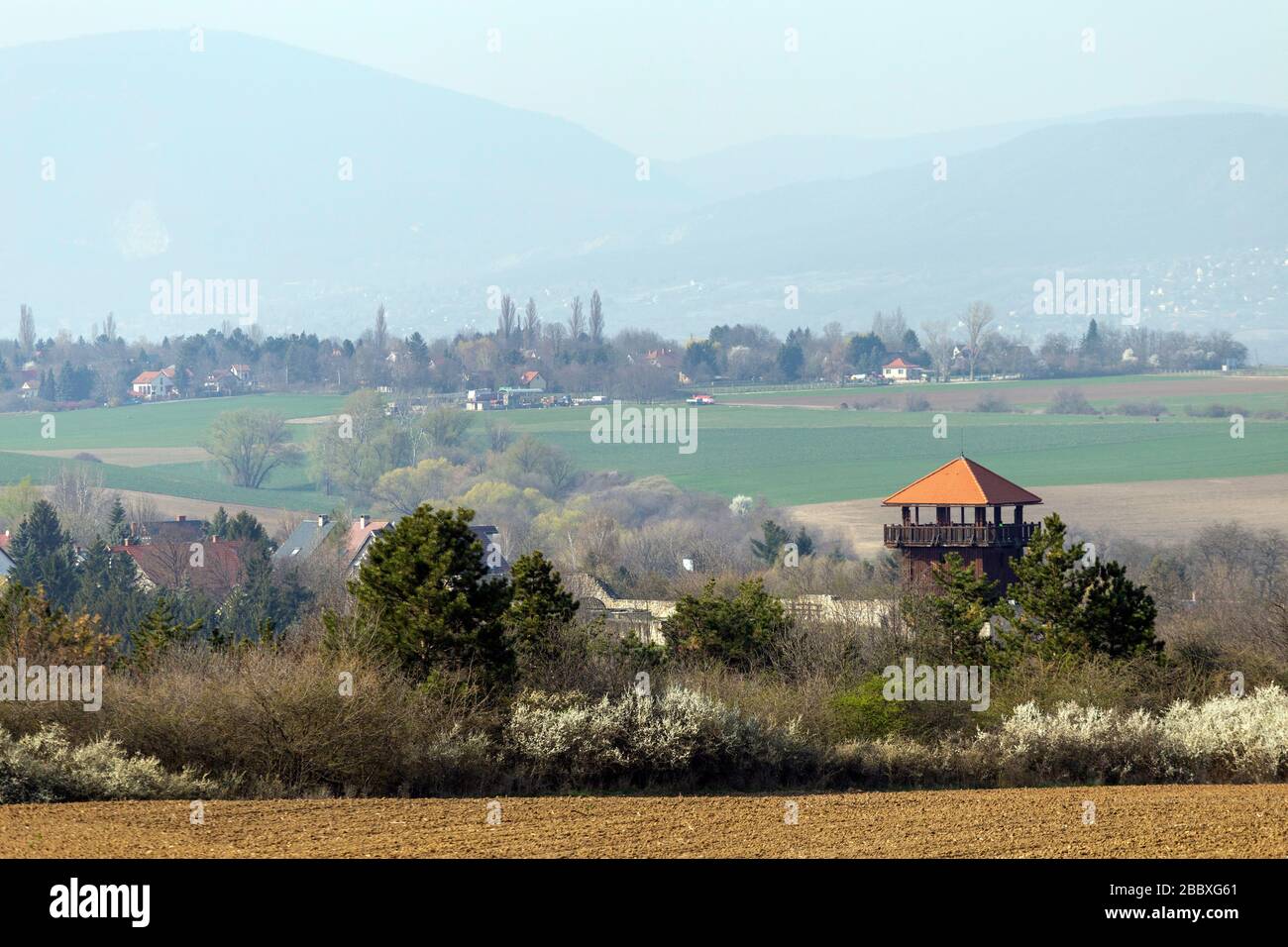 Buda castle ruins hi-res stock photography and images - Alamy