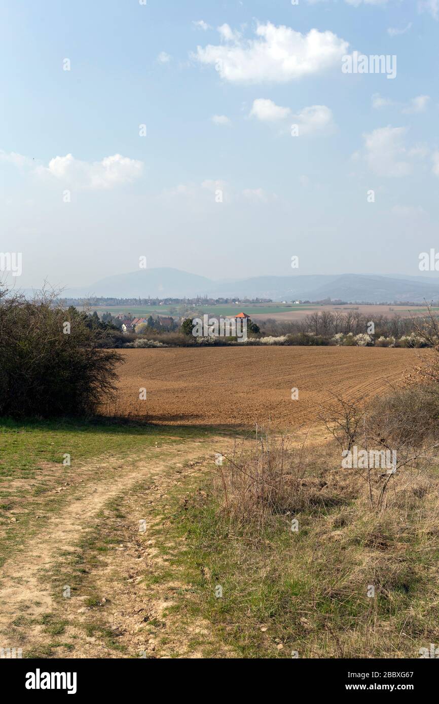 Budapest hungary buda castle ruins hi-res stock photography and images ...