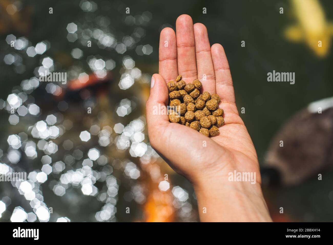 Ted fish hi-res stock photography and images - Alamy