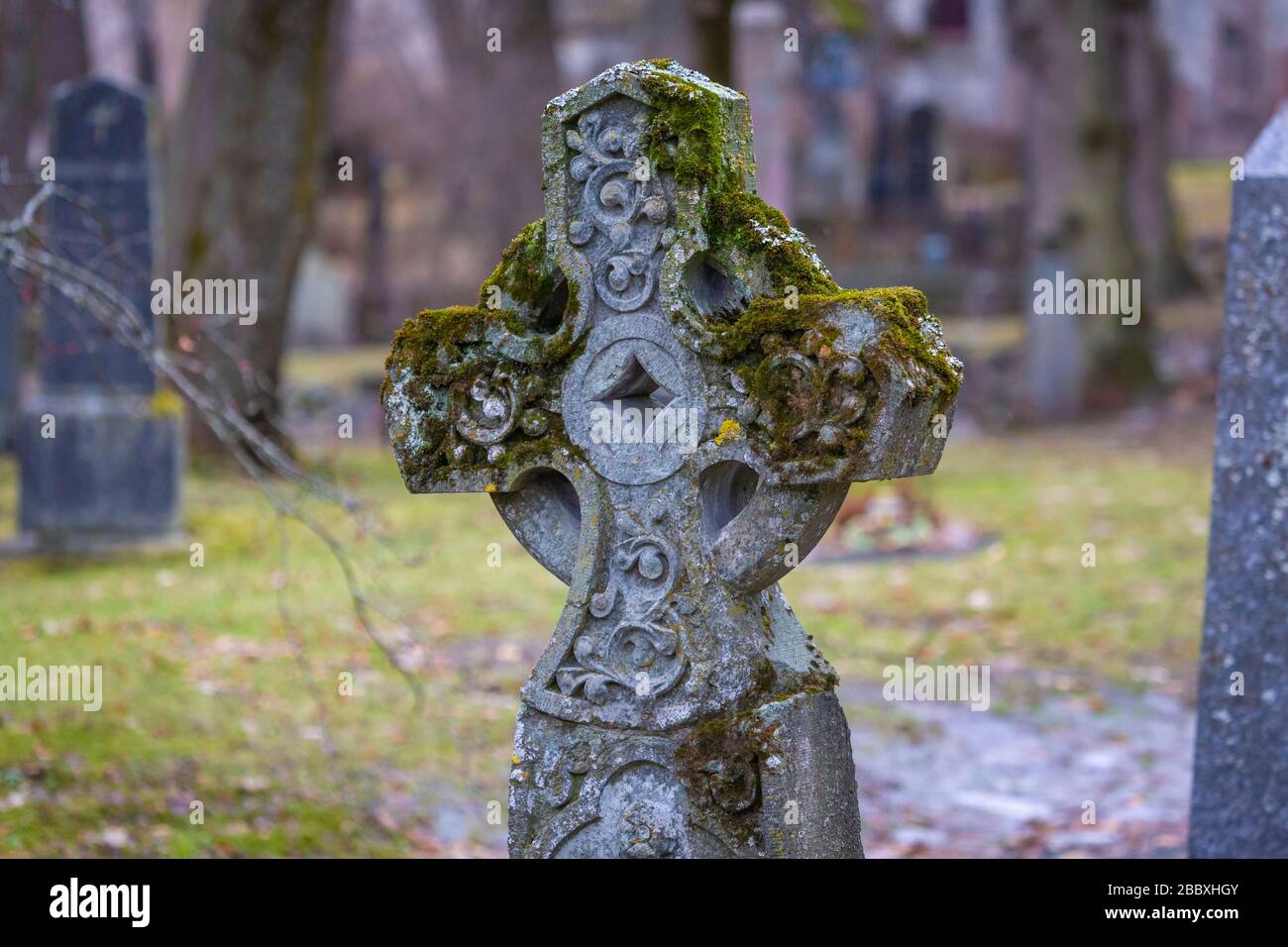 Walking around the Nidaros Cathedral Stock Photo - Alamy