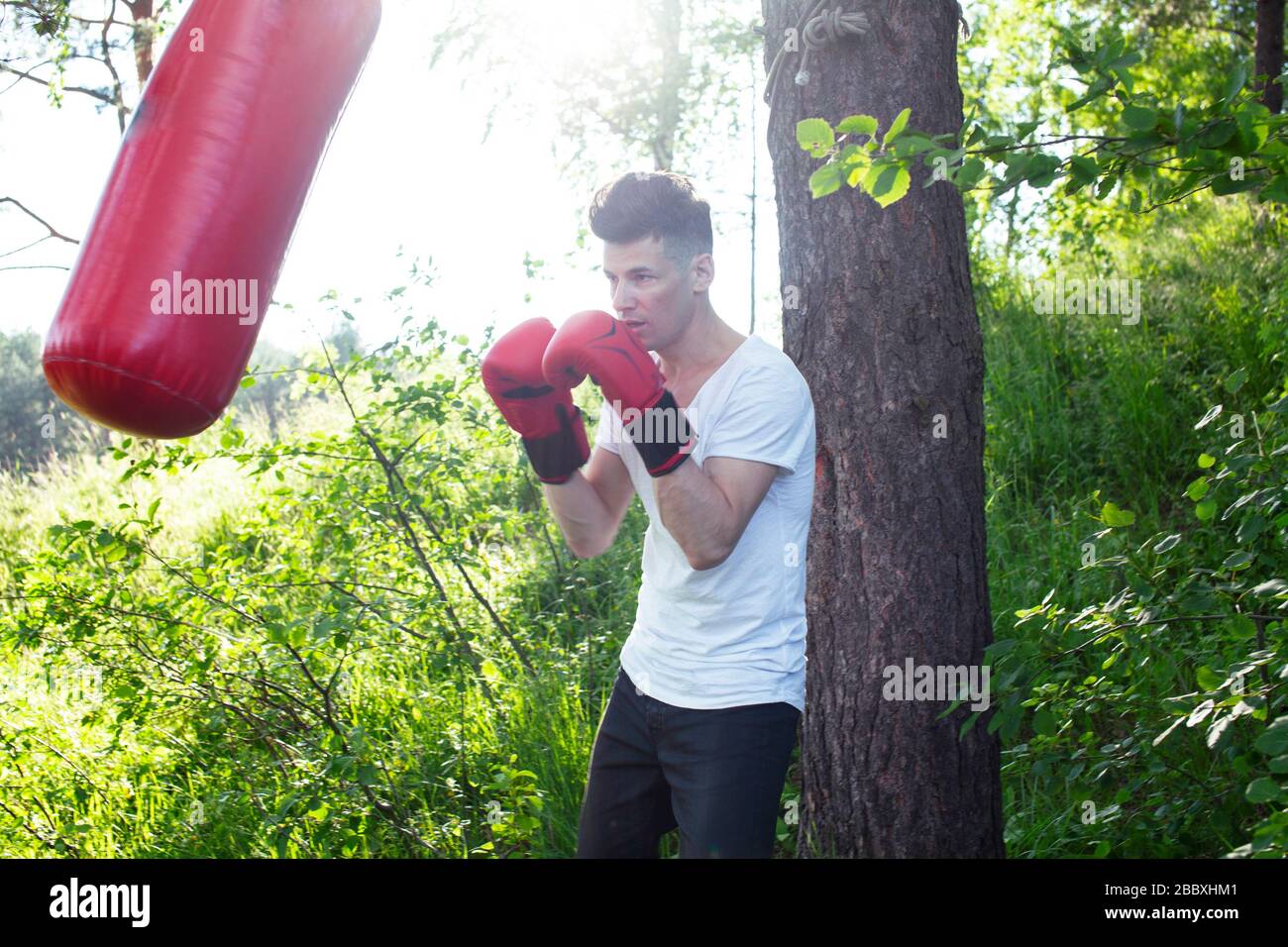 young caucasian guy boxing in gloves outside in green park, lifestyle ...