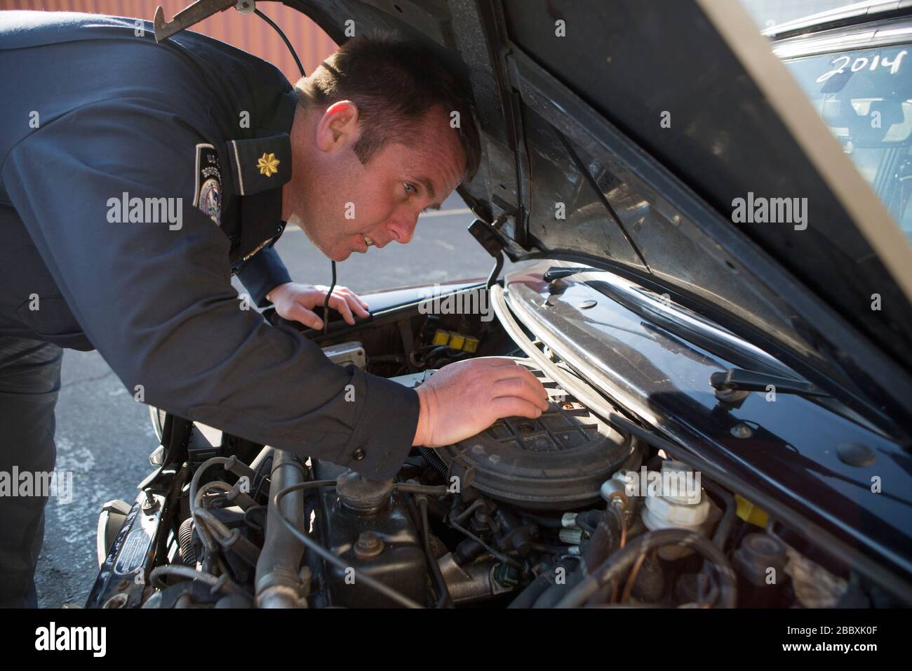 Customs violations hi-res stock photography and images - Alamy