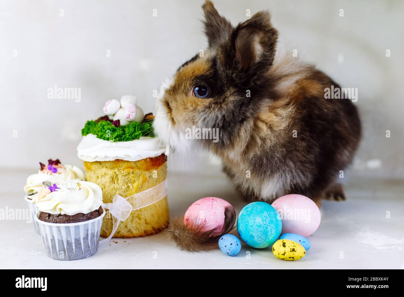 A cute little brown spotted rabbit next to painted chicken and pastel ...