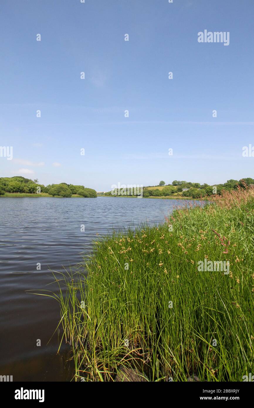 River quoile summer hi-res stock photography and images - Alamy