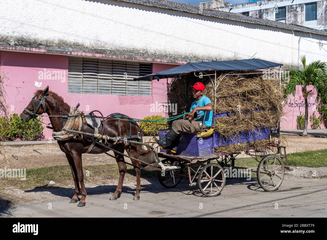 Horse and hay cart hi-res stock photography and images - Alamy