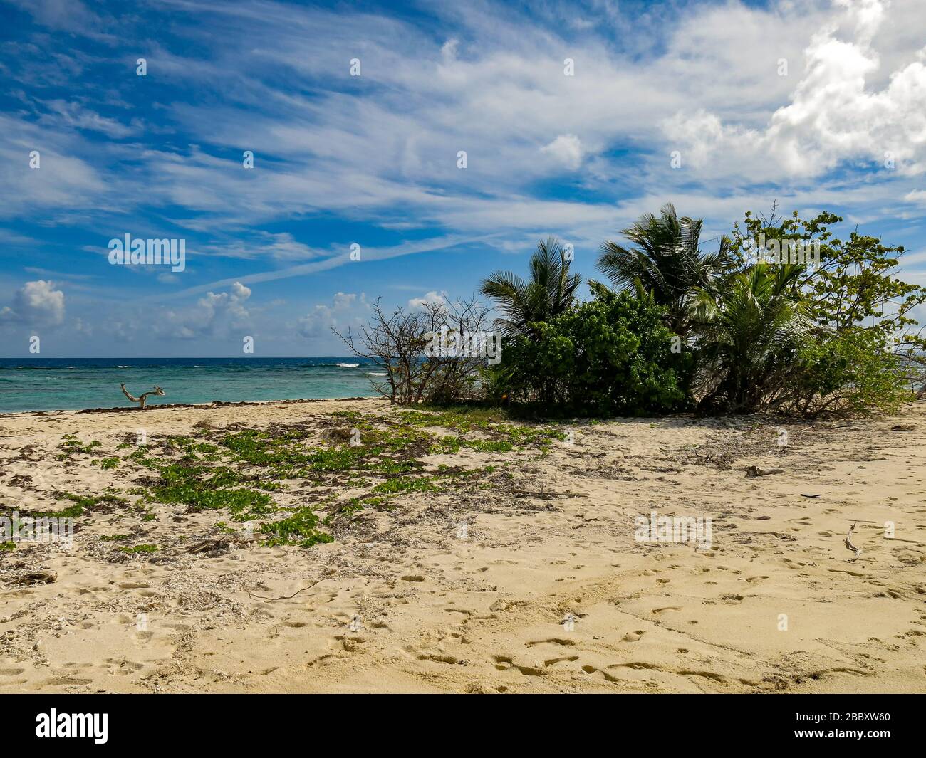 Puerto rico landscape hi-res stock photography and images - Alamy