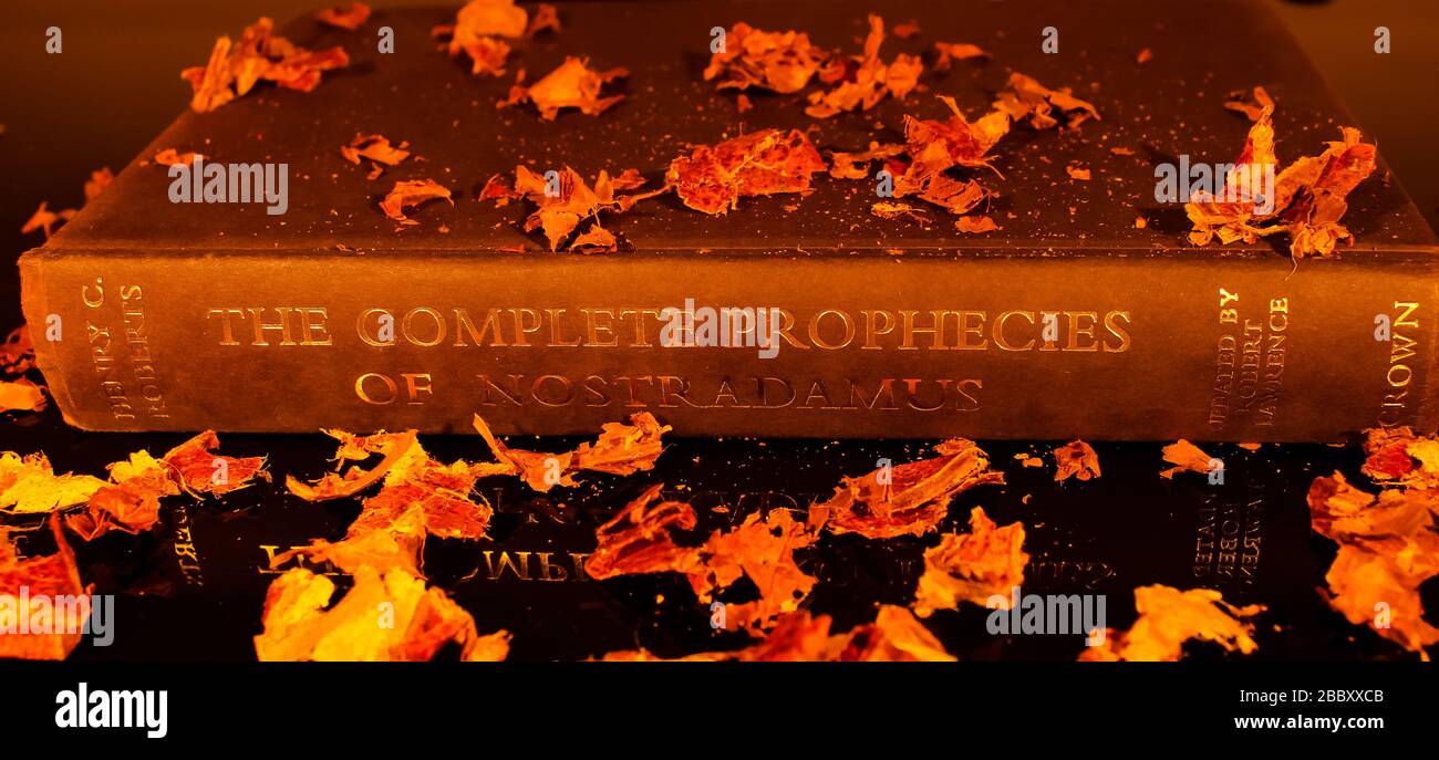 Complete prophecies of Nostradamus, book written on the prophecies of ...