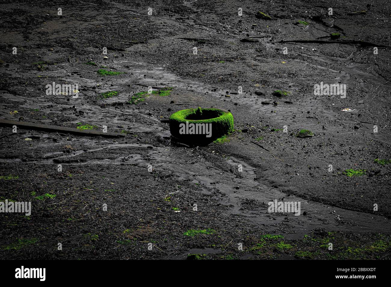 impact of human activity Stock Photo - Alamy