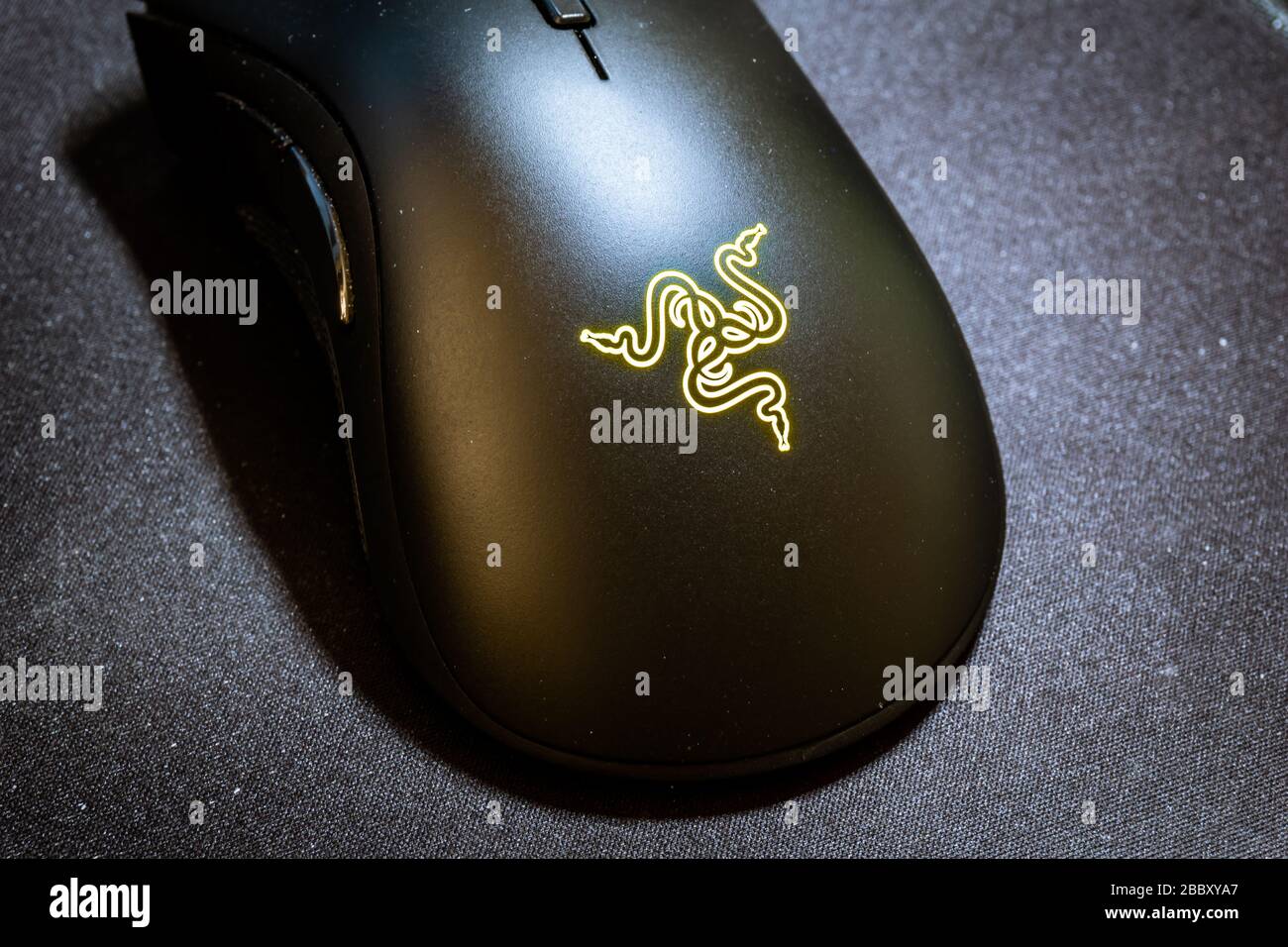 Death of mouse hi-res stock photography and images - Alamy