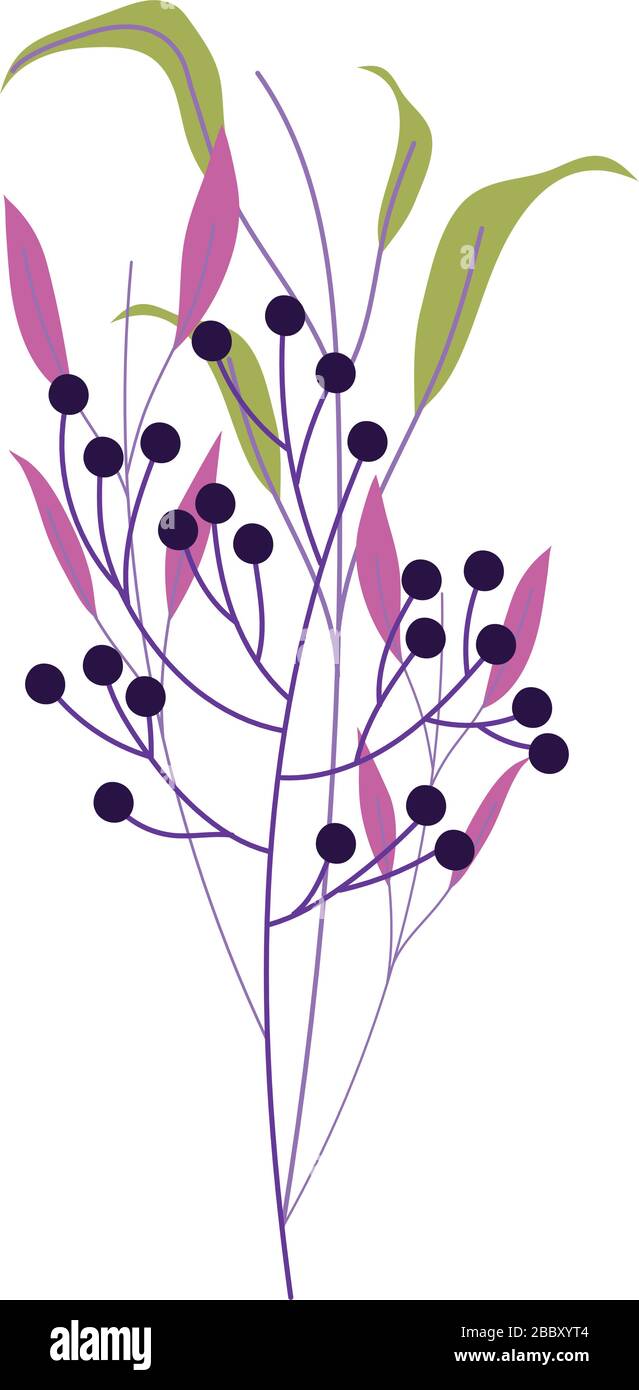 Isolated natural leaves design of Floral nature plant garden ornament ...