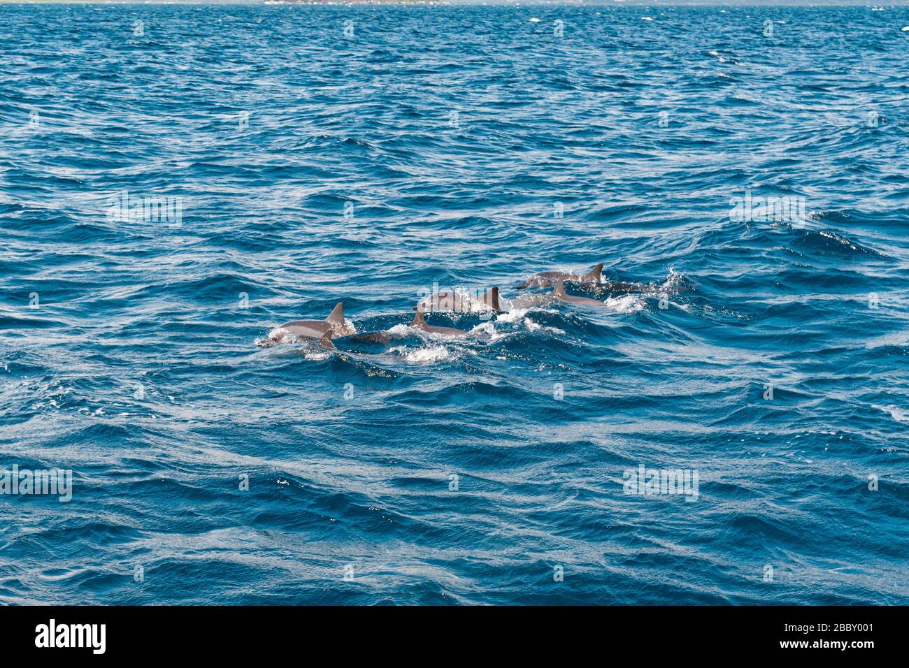 White sand bar hi-res stock photography and images - Alamy