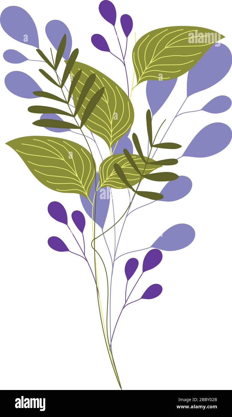 Isolated natural leaves design of Floral nature plant garden ornament ...