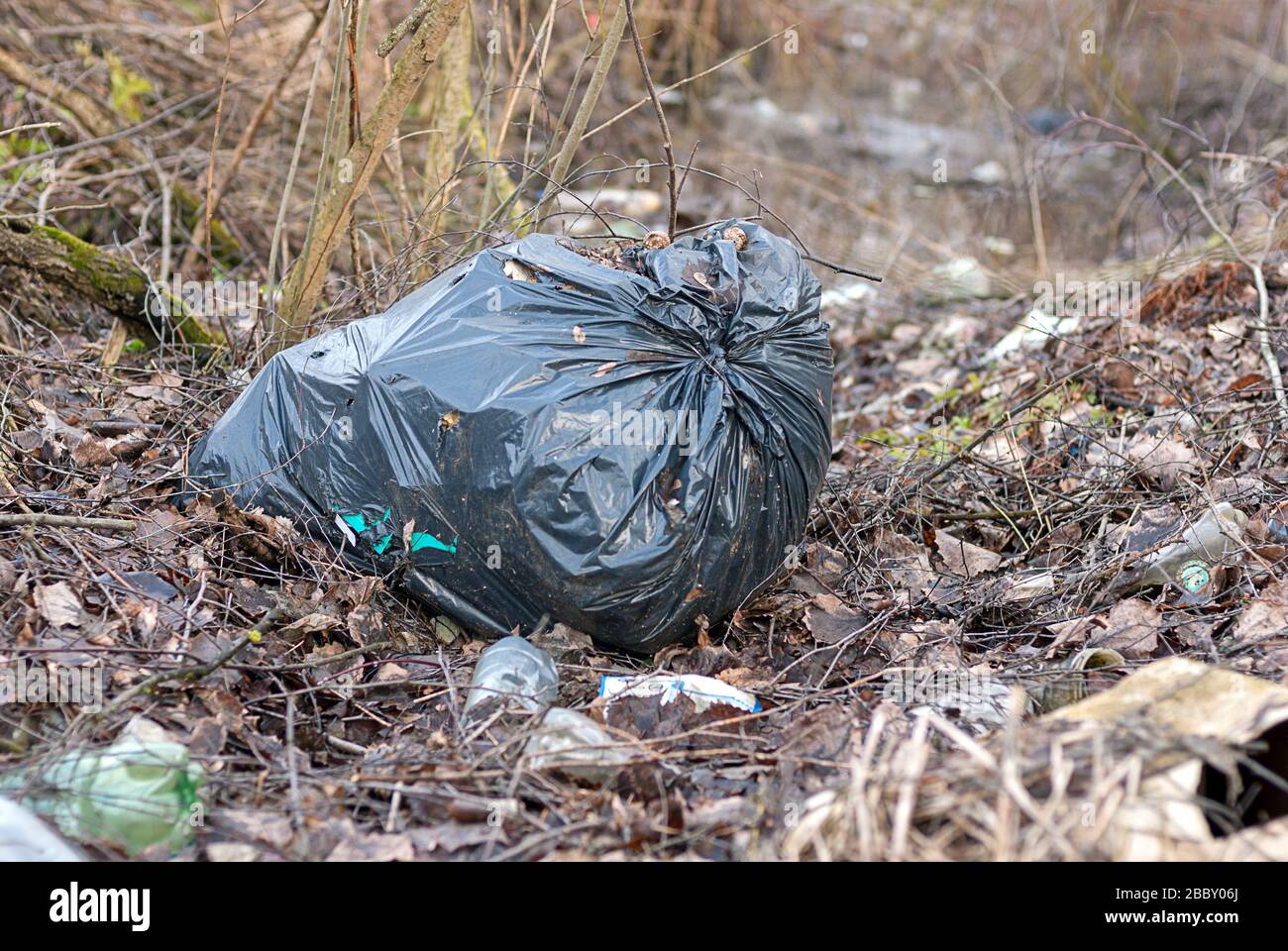 Trash in forest hi-res stock photography and images - Alamy