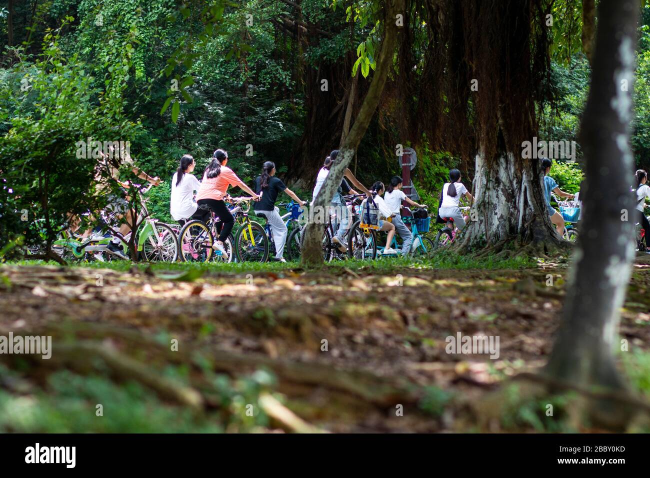 Chinese group cycling hi-res stock photography and images - Alamy