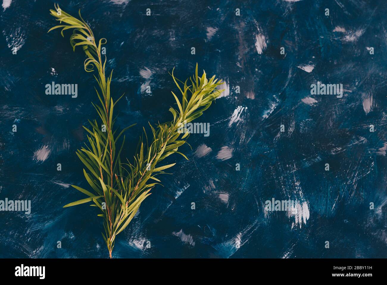 concept of environment or vegan lifestyle, small branch with green ...