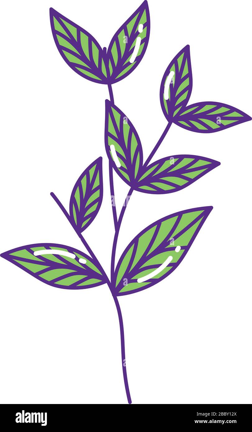 Isolated natural leaves design of Floral nature plant garden ornament ...