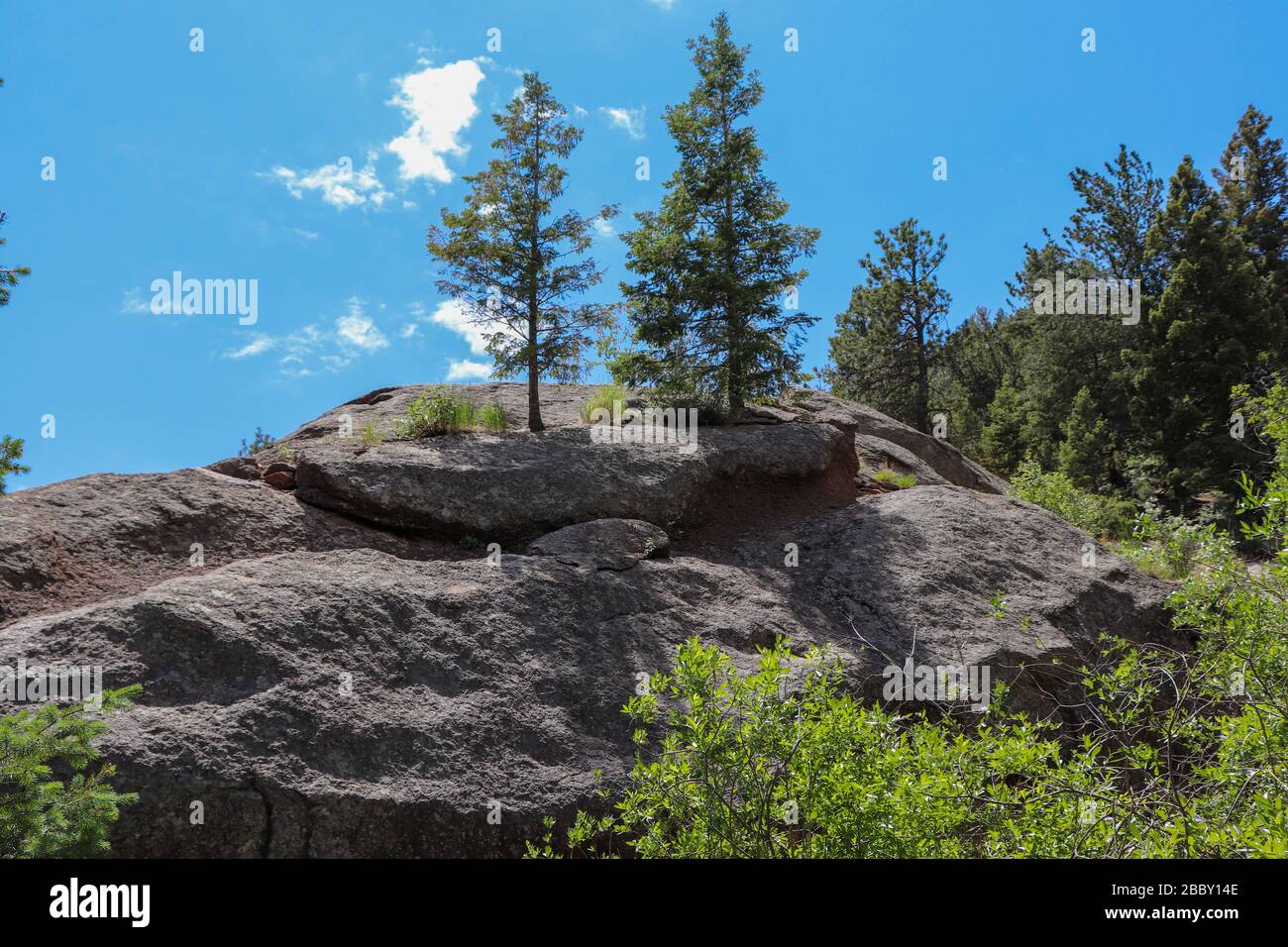 A tree on top of rock face Stock Photo - Alamy