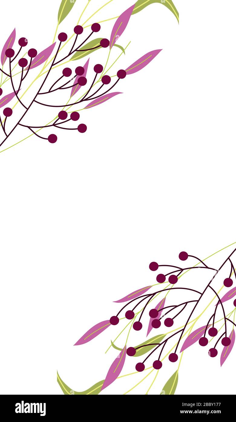 Isolated natural leaves design of Floral nature plant garden ornament ...