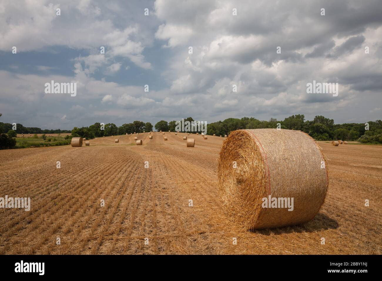 Harvesting rolls hi-res stock photography and images - Alamy