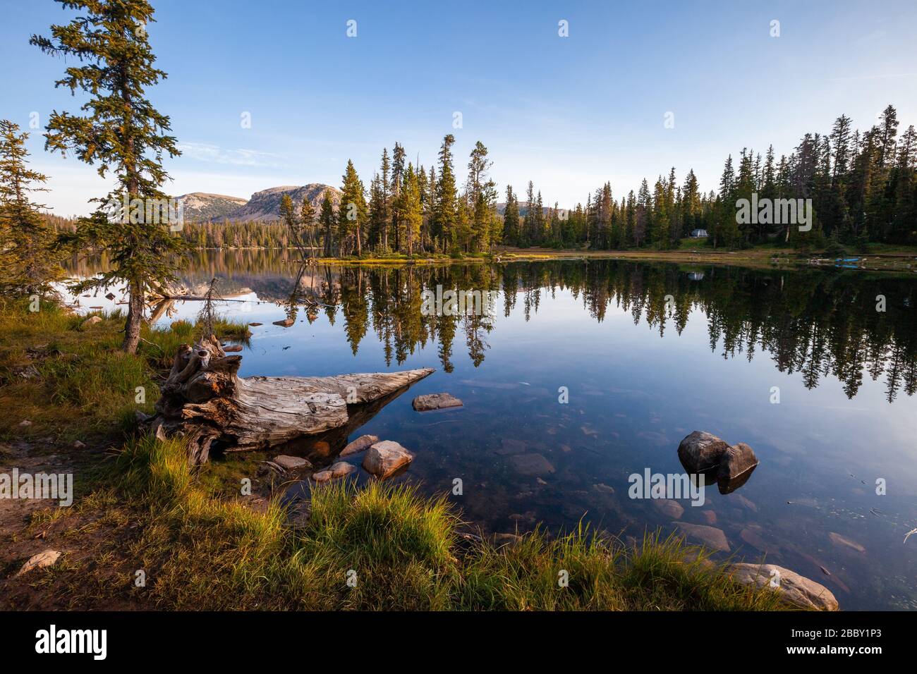 Uinta wasatch cache national forest hi-res stock photography and images ...