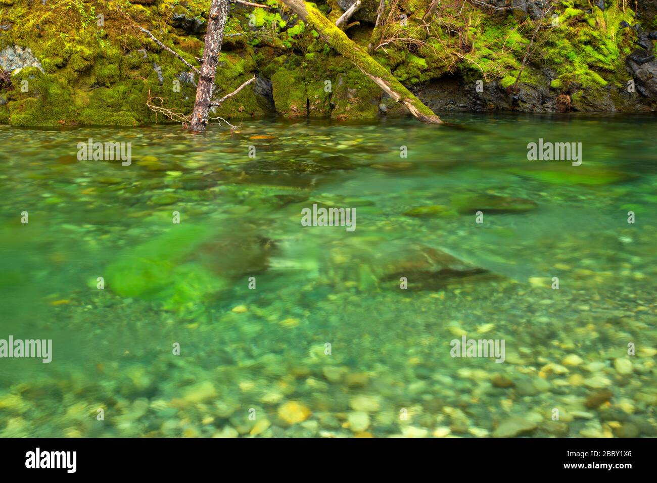 Middle Fork Smith River, Smith River National Recreation Area, Smith ...