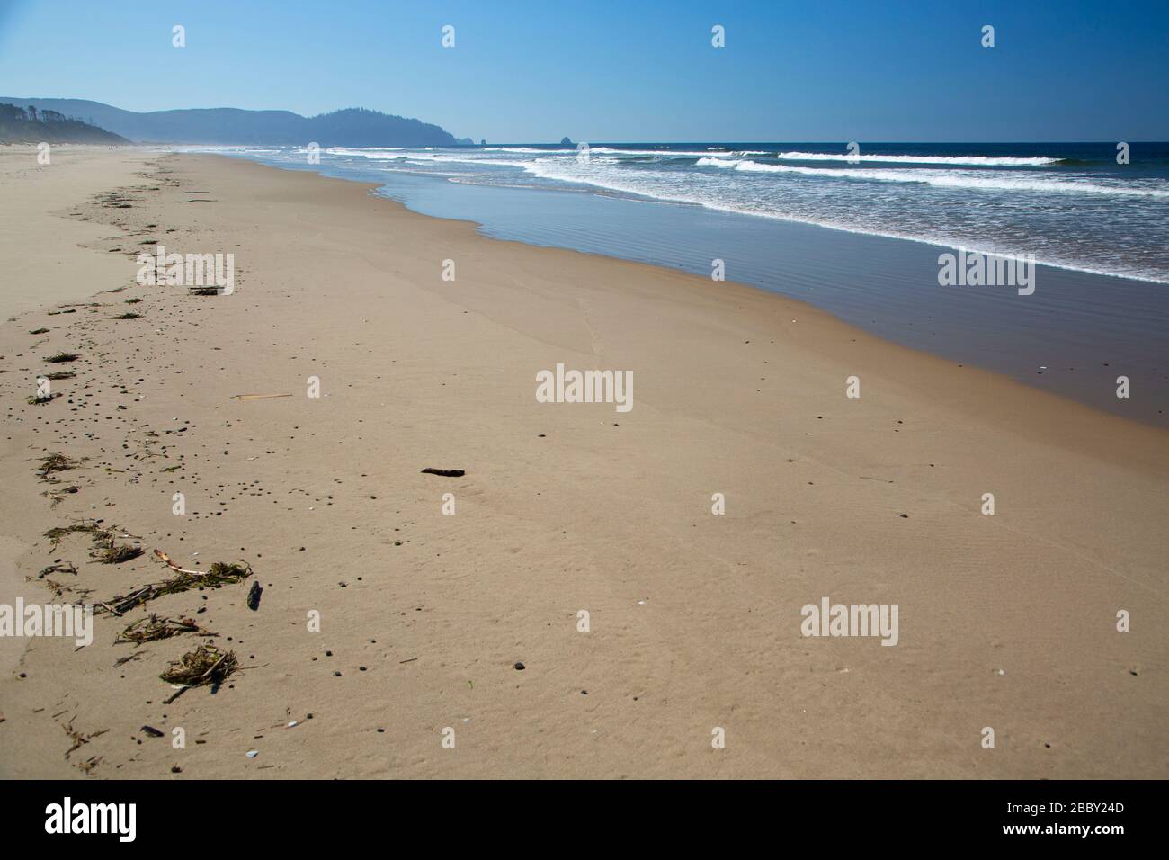 Beach, Bayocean Peninsula, Tillamook County, Oregon Stock Photo - Alamy