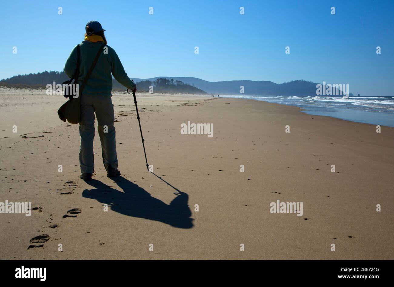 Beach, Bayocean Peninsula, Tillamook County, Oregon Stock Photo - Alamy