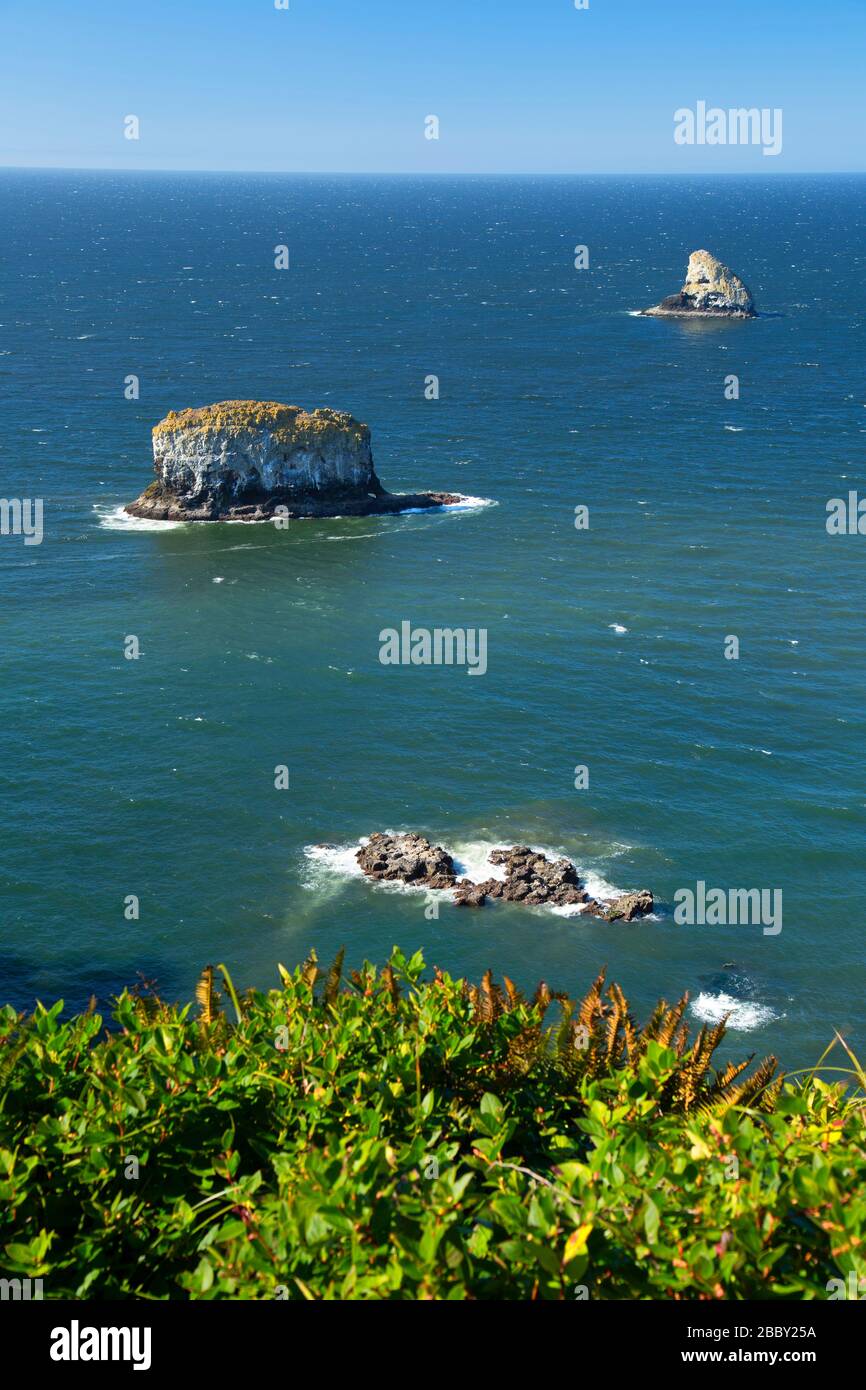 Pillar and Pyramid rocks, Cape Meares State Park, Oregon Stock Photo ...